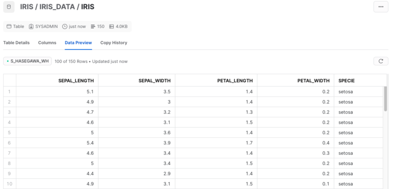 初めてのSnowpark for Python from Jupyter Lab | DATUM STUDIO株式会社